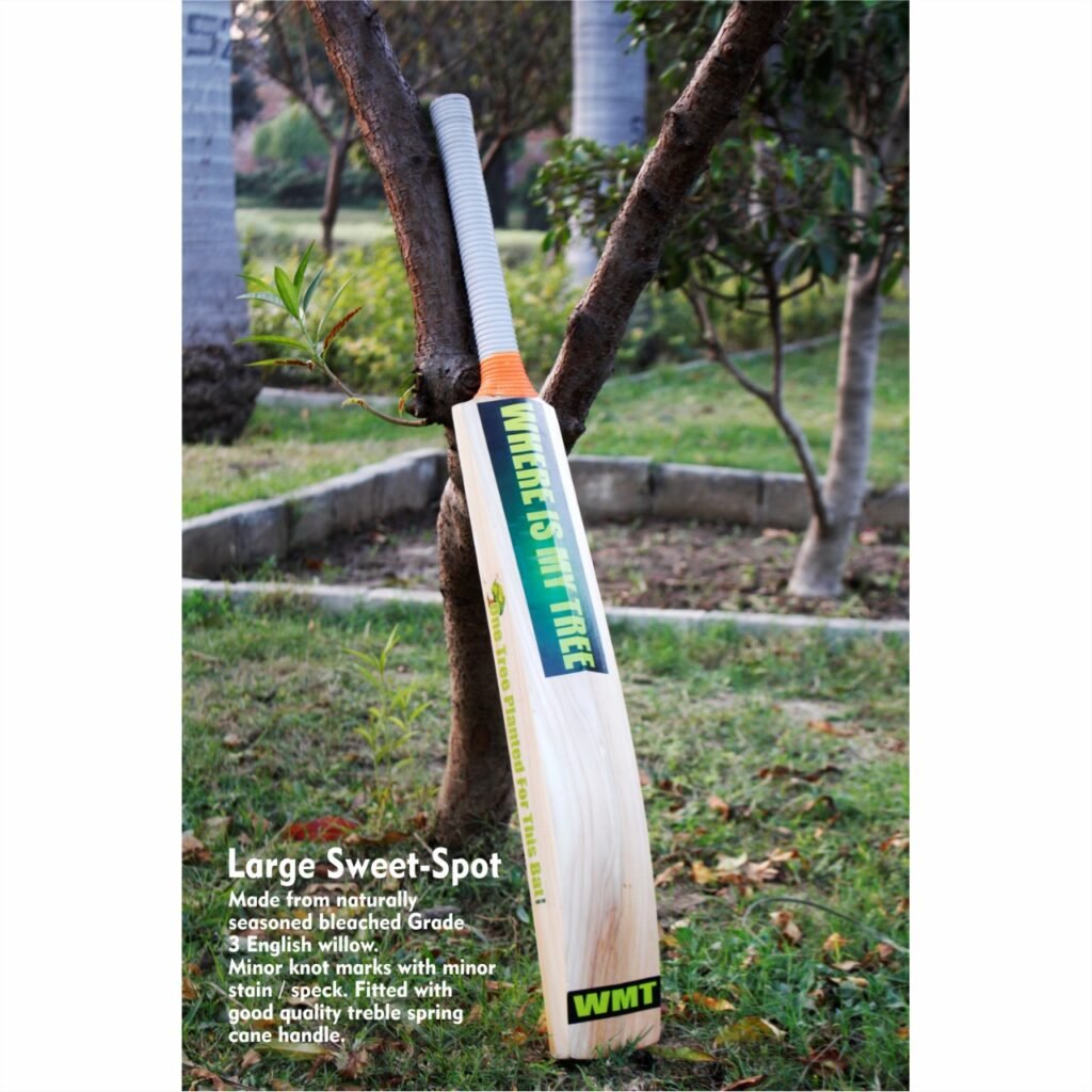 The Best Time to Plant Trees: Seasonality Tips - Whereismytree